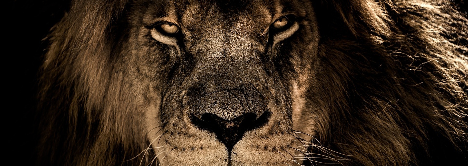 Kili Tanzanite Safaris – Nature is beautiful, let's show you