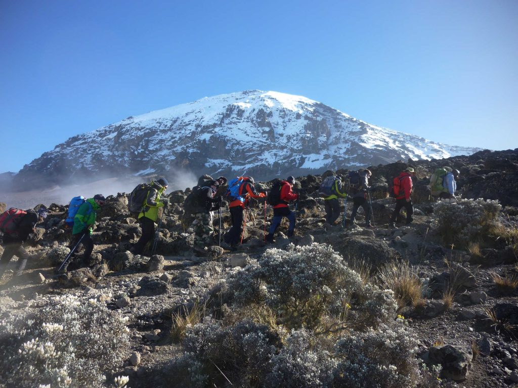 Kilimanjaro – Kili Tanzanite Safaris